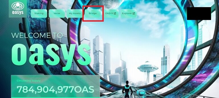 【Oasys】Hub Layerから各Verseへブリッジする方法